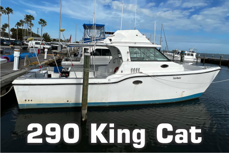Baha Cruiser - 290 King Cat - OEM Spec Products | American Offshore
