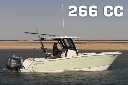 World Cat - 266CC - OEM Spec Products | American Offshore